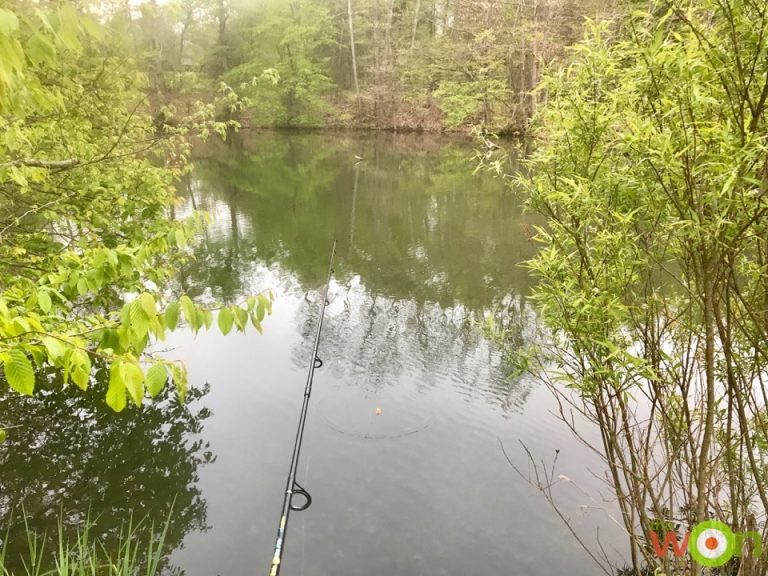 What Native Fish Conservation Means for Anglers