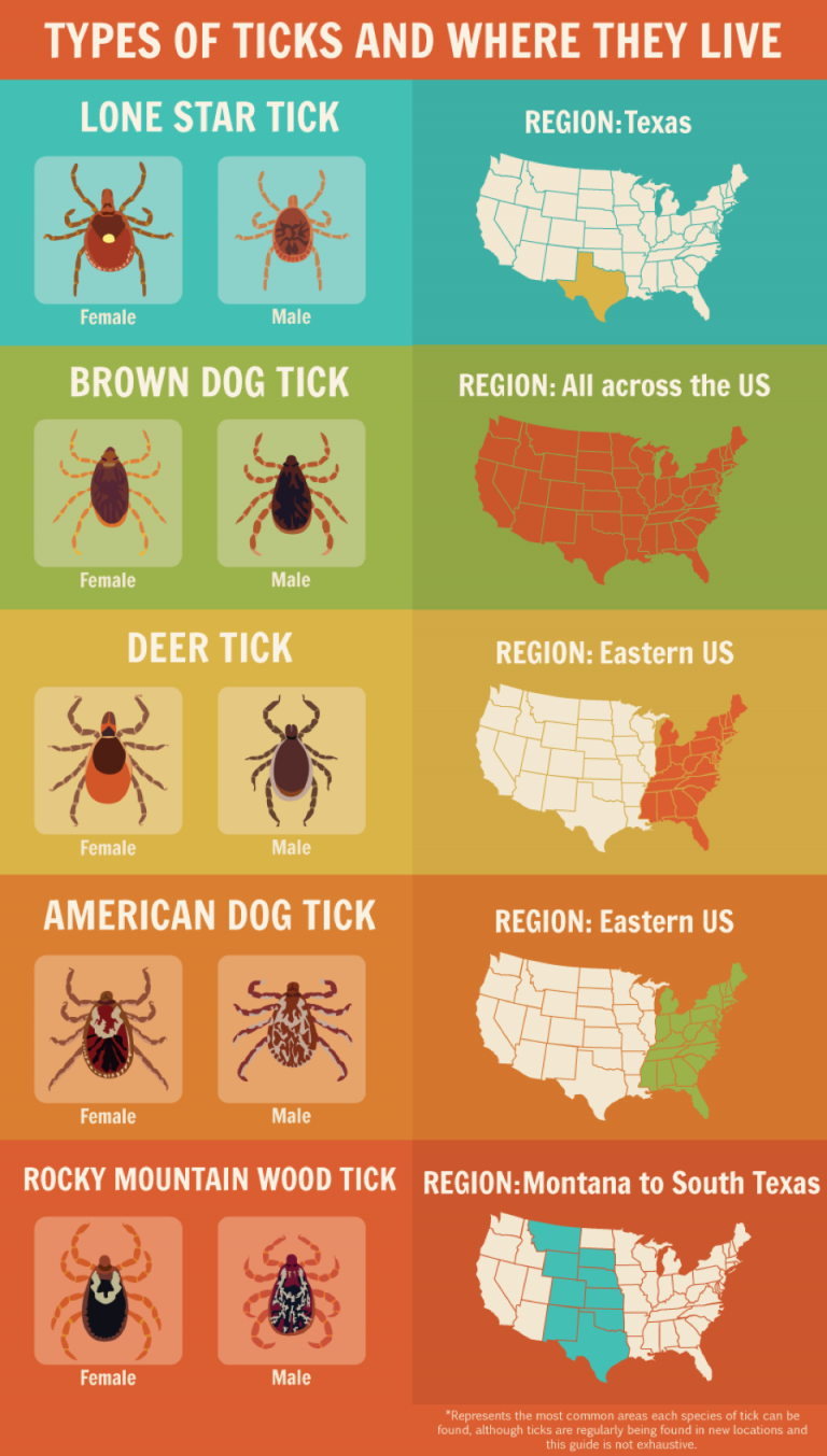 Retro WON: Tick Dangers and Precautions