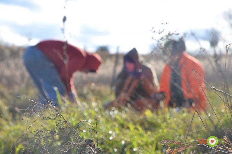 Tips for Preparing Successful Hunts with Kids
