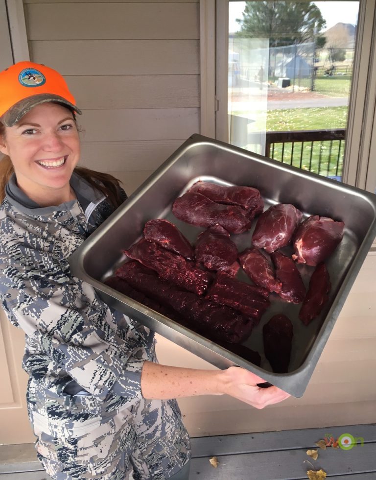 The WWAH 2017: A Hunt to Remember