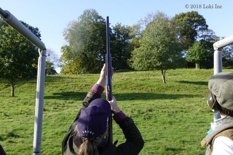 Fairies and Firearms Part 3: Driven Shooting and the World of Beaters