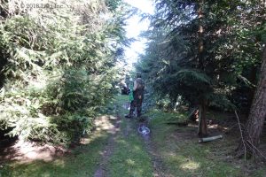 Fairies and Firearms Part 3: Driven Shooting and the World of Beaters
