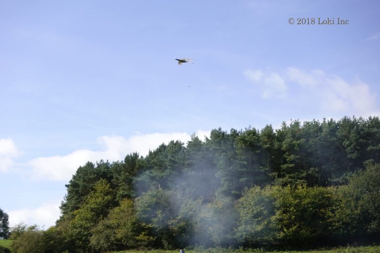 Fairies and Firearms Part 3: Driven Shooting and the World of Beaters