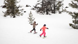 Experience the National Parks in all their Winter Glory