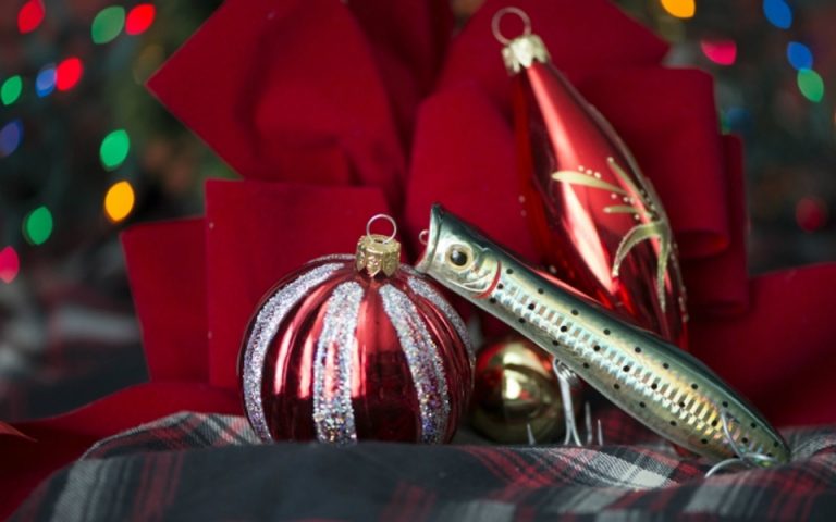 Top 10 Christmas Fishing Gifts Everybody Wants this Year