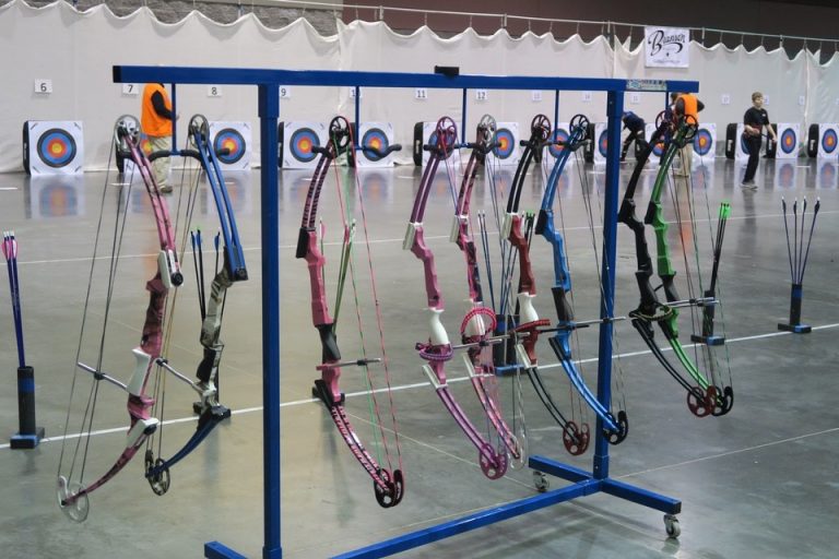 Why National Archery in the Schools Programs Matter