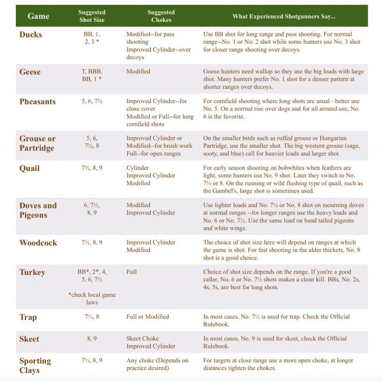 How to Read a Shotgun Ammo Box for Information
