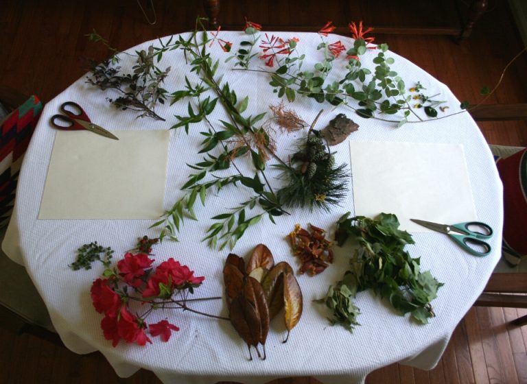 Forage Art: Enjoy a Nature Walk, Collect, then Create