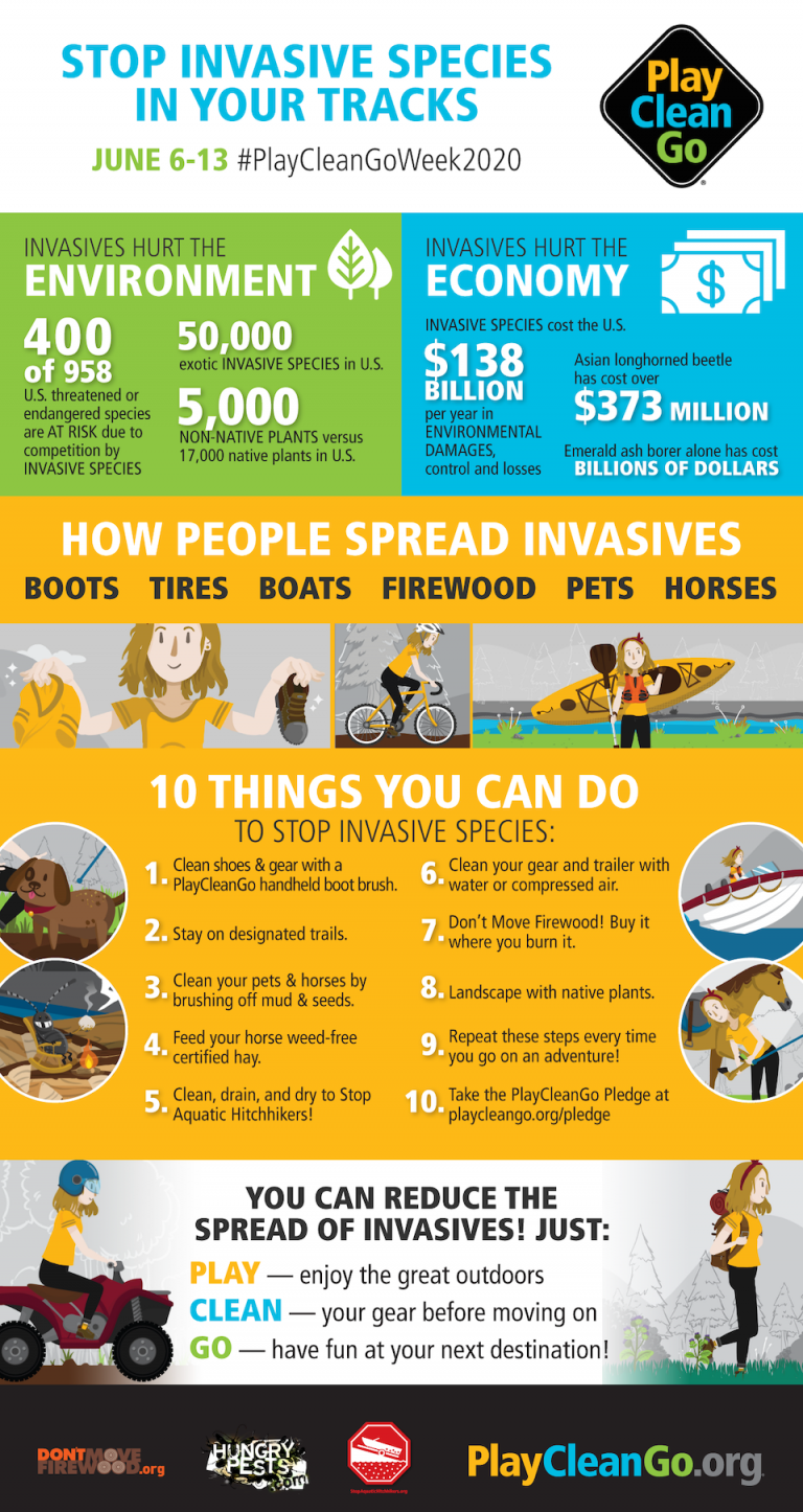 Stop Invasive Species During PlayCleanGo Awareness Week
