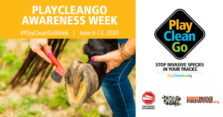 Stop Invasive Species During PlayCleanGo Awareness Week