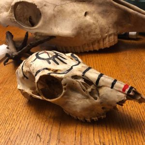 Weekly Craft: Simple Painted Art Using Animal Bones