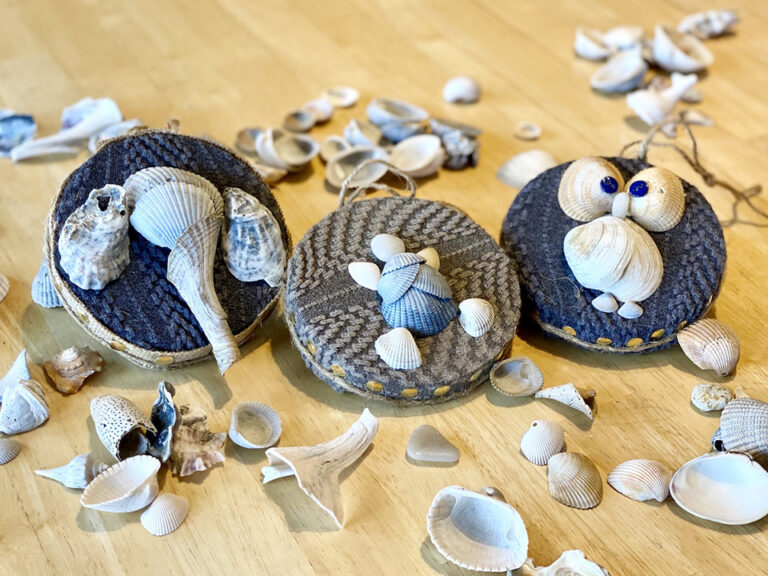 Shell Art Craft: Create Whimsical Animals to Hang on Your Wall