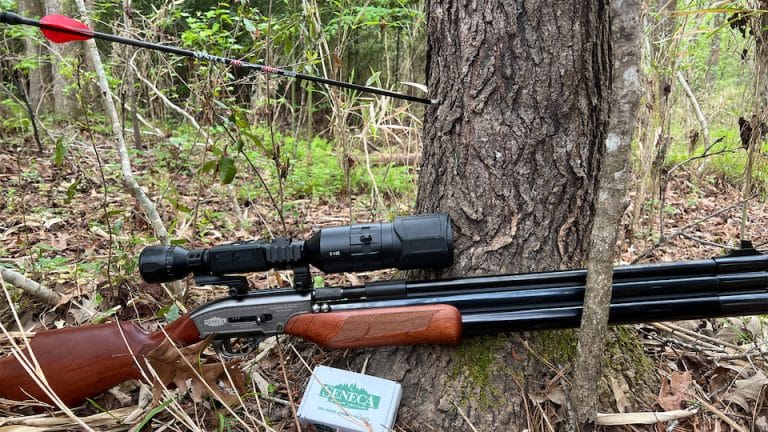 What You Need to Know: Airgun Hunting Out of State