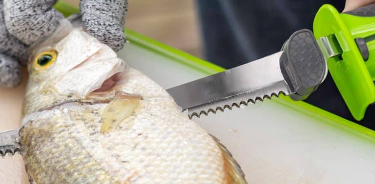 How to Catch, Clean and Cook Early Season Crappies