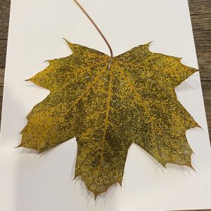 Easy Leaf Print Animal Craft
