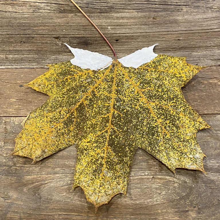 Easy Leaf Print Animal Craft