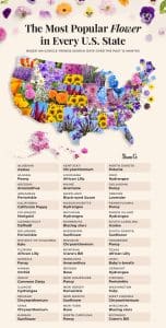 Every State’s Favorite Flower
