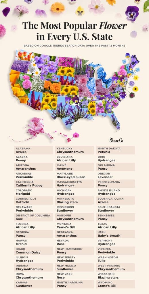 Every State’s Favorite Flower