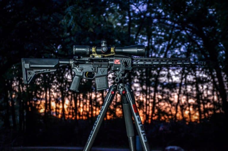 Predator Hunting Part I: The Set-Up