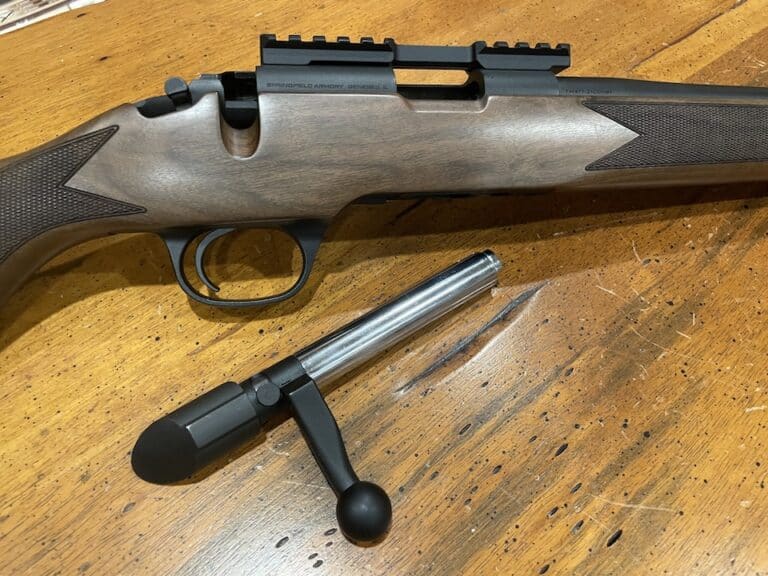 On the Range with Springfield Armory Model 2020 Rimfire