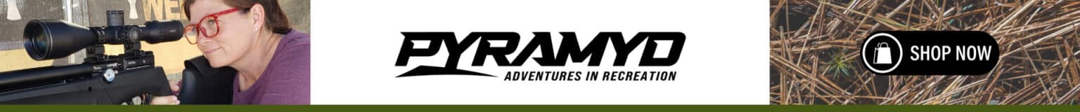 Review: Air Venturi Avenge-X from Pyramyd AIR