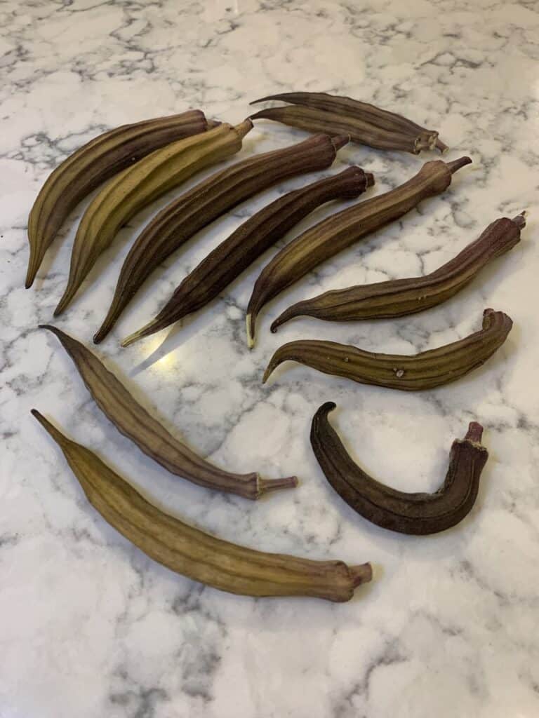 Deck the Boughs with Dried Okra Ornaments