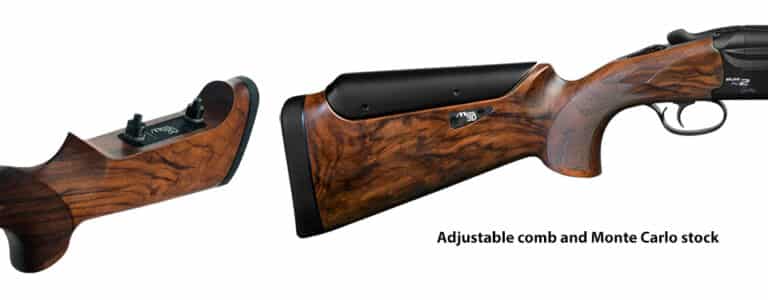 Can You Do It All with One Shotgun?